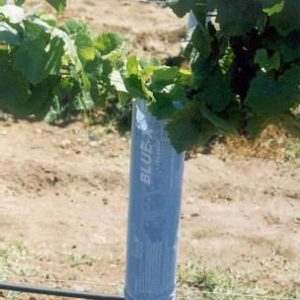 Blue-X Grow Tubes Protect young vines and orchard trees - FLTSupply